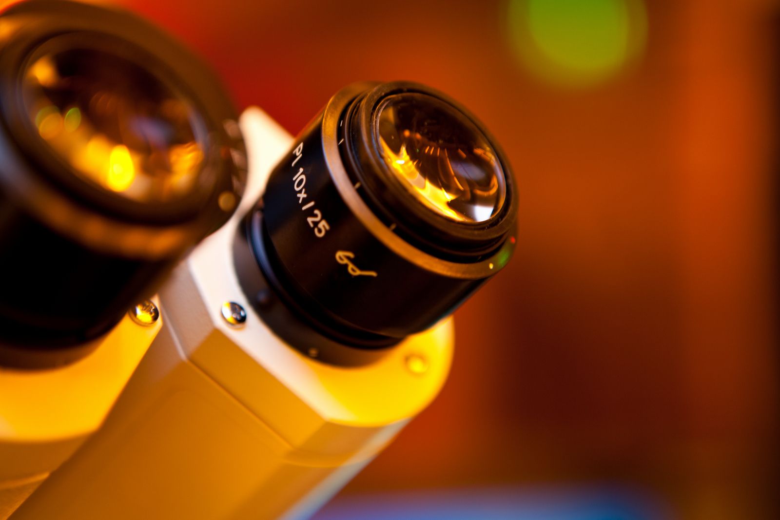 Ancient Civilization Studies | Data USA