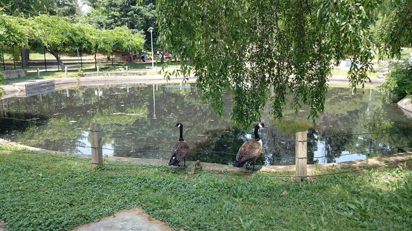 Kemp Mill, MD | Data USA