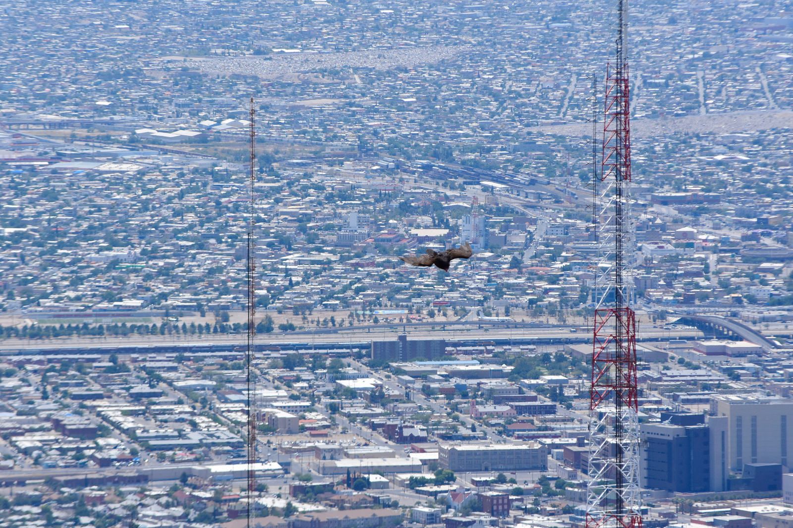 Horizon City, TX | Data USA