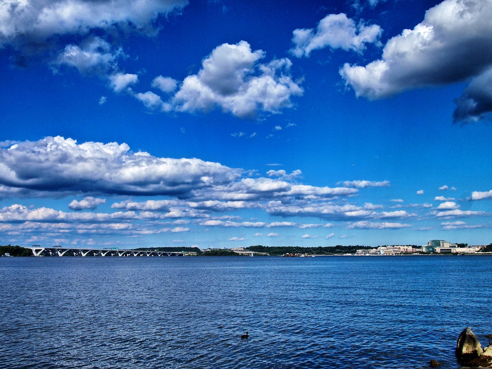 Alexandria city, VA | Data USA