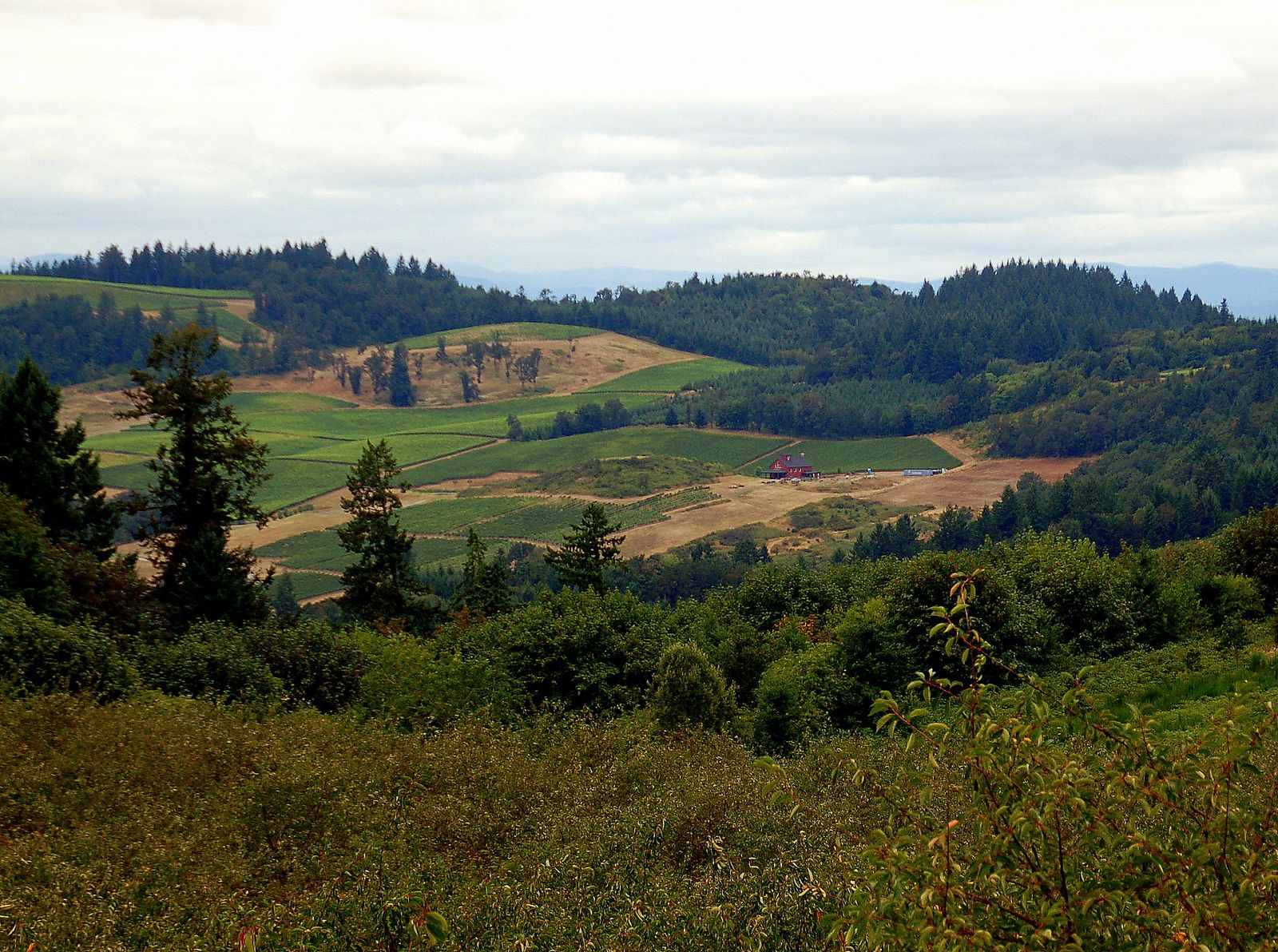 Amity, OR | Data USA