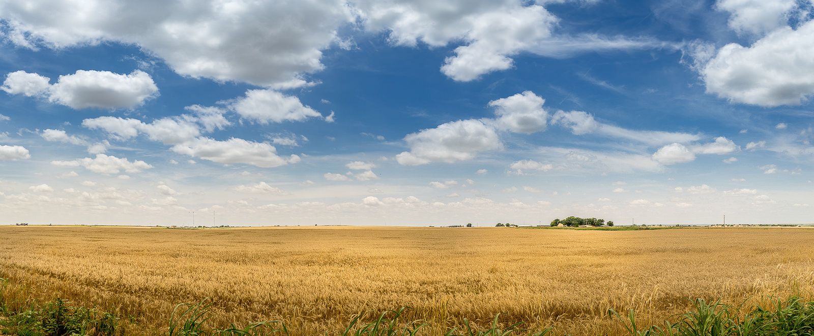 Anadarko, OK | Data USA
