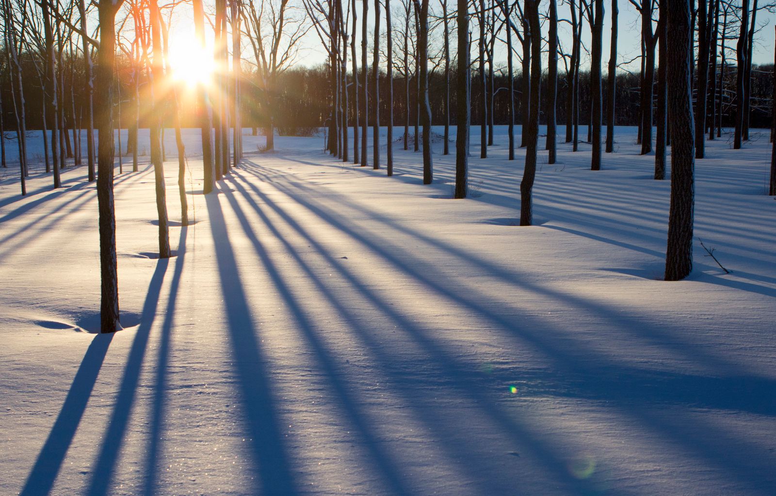 Ann Arbor, MI | Data USA