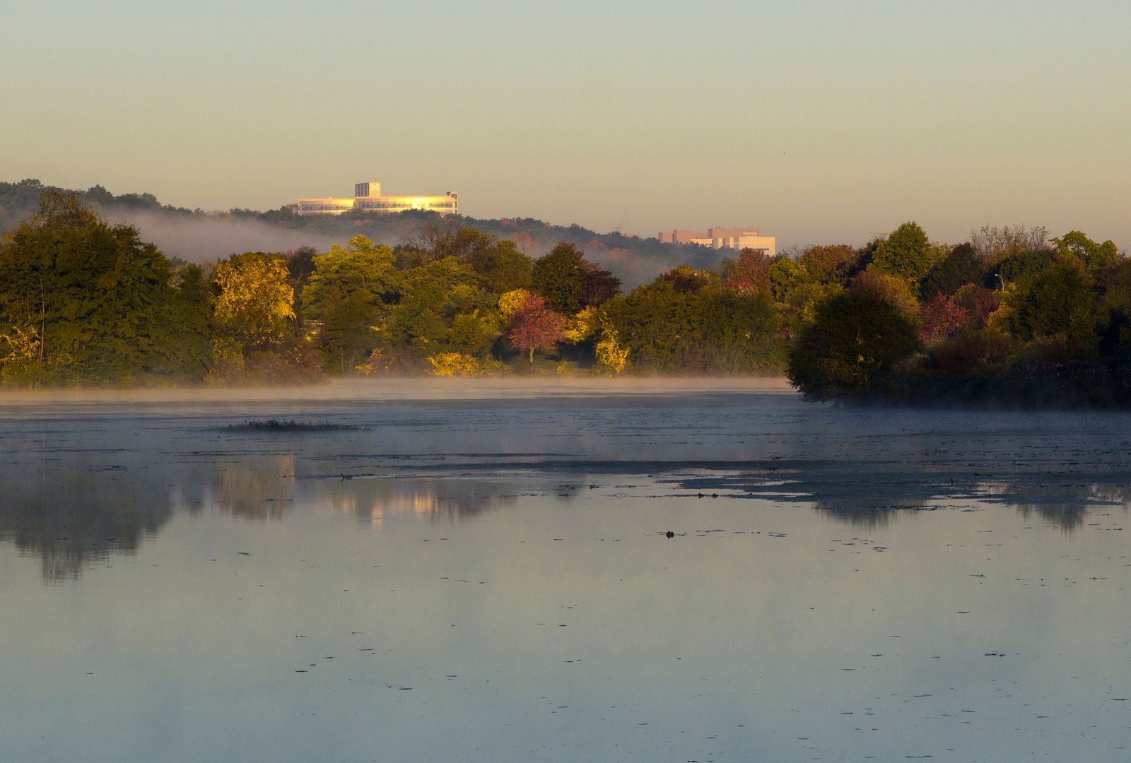 Ann Arbor, MI | Data USA