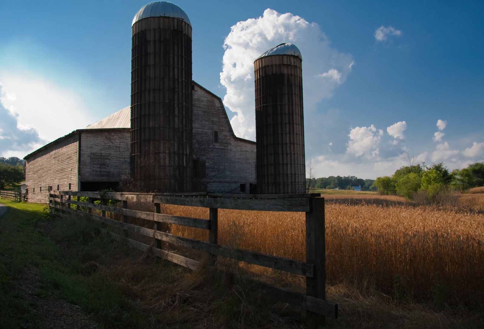 Bradley County, TN | Data USA