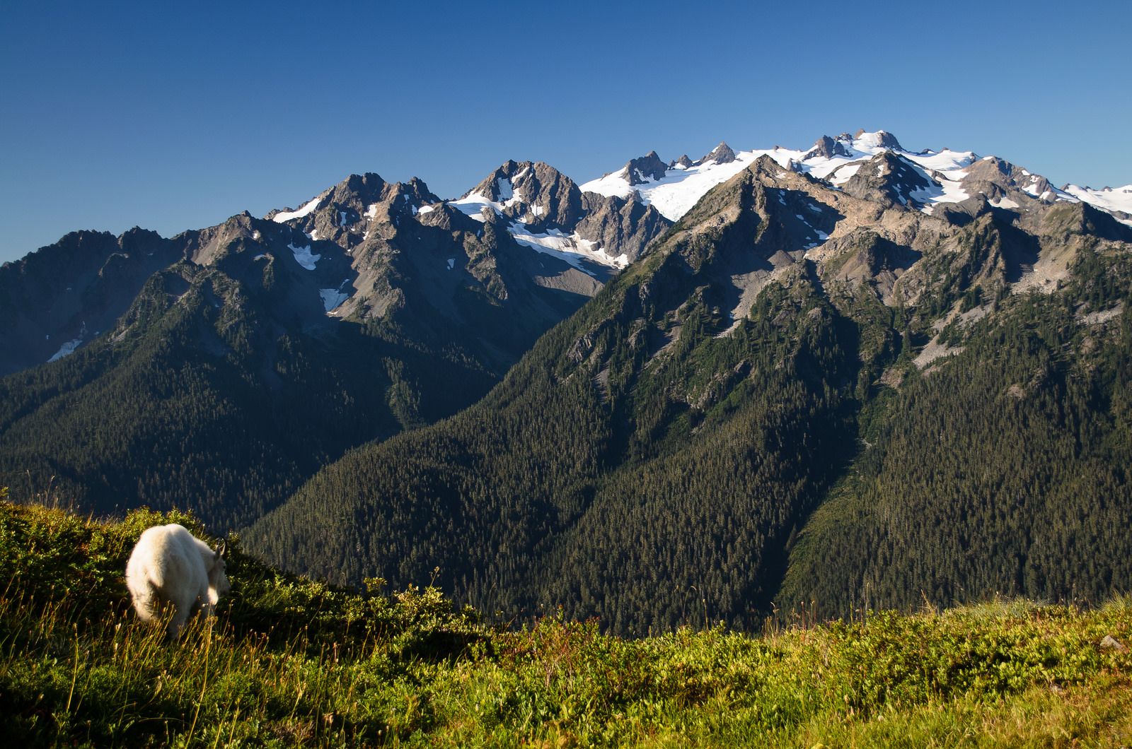 Carlsborg, WA | Data USA