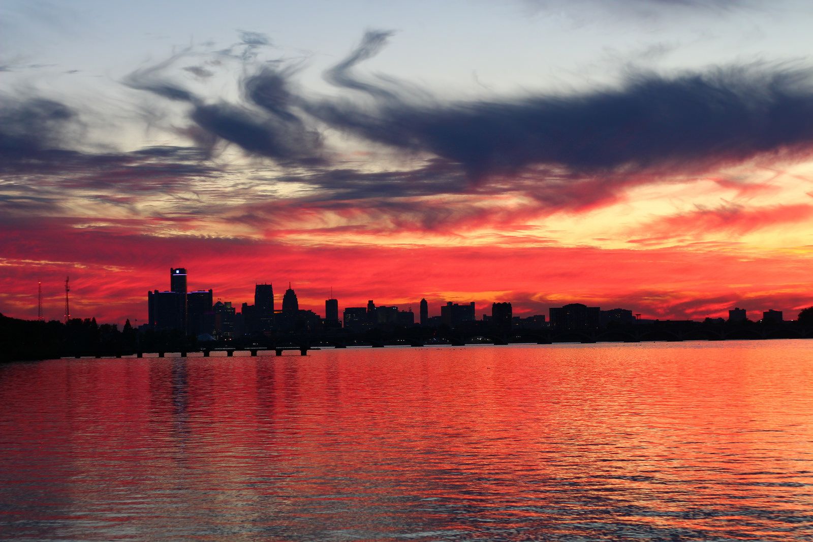 Congressional District 13, MI | Data USA