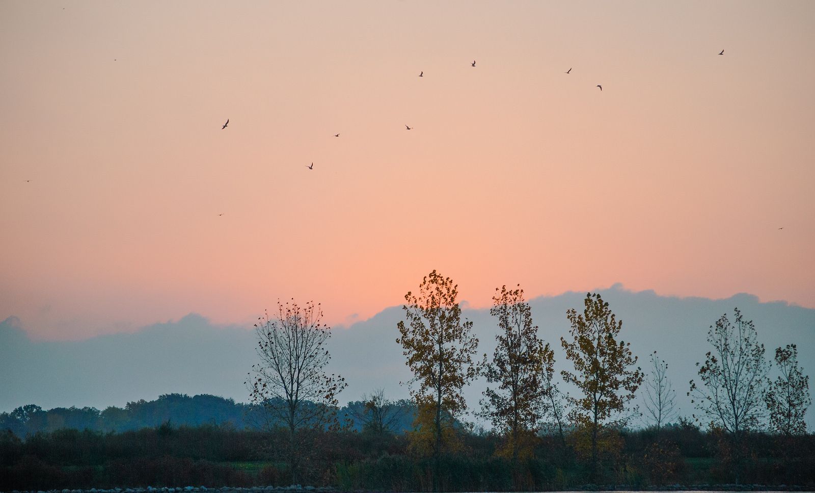 Curtice, OH | Data USA