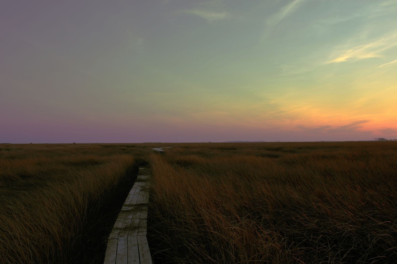 Denton, MD | Data USA