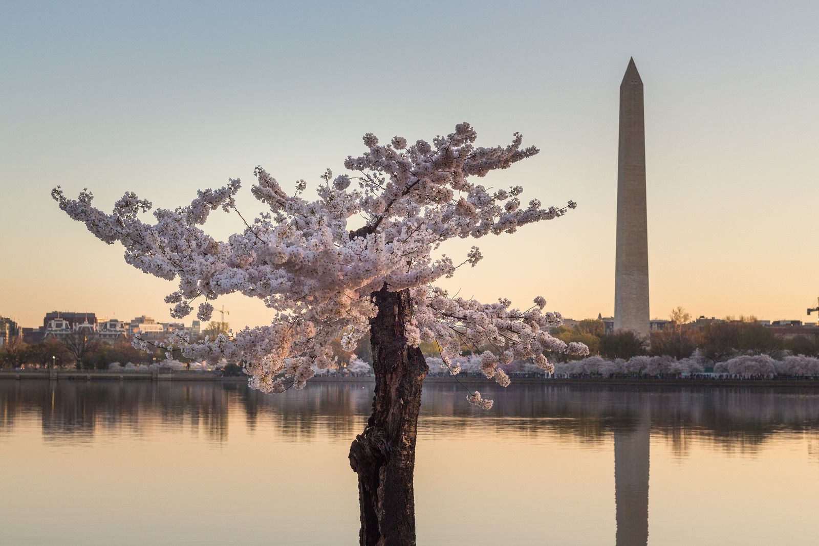 District of Columbia, DC | Data USA