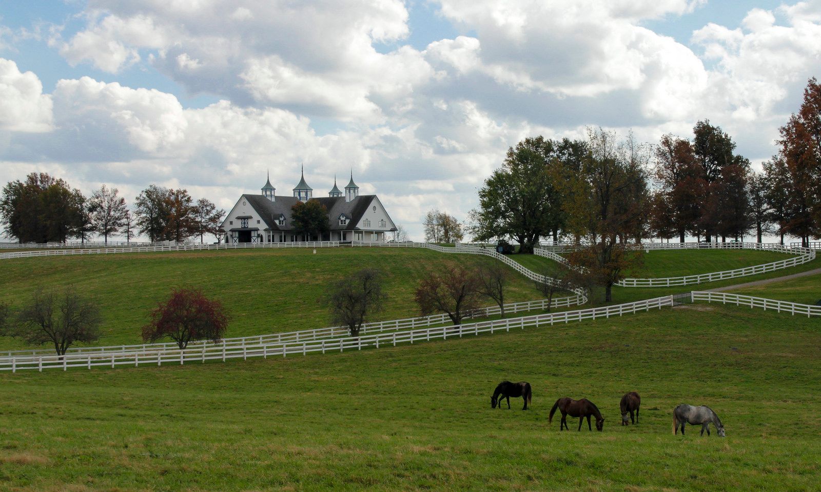 Fayette County, KY | Data USA