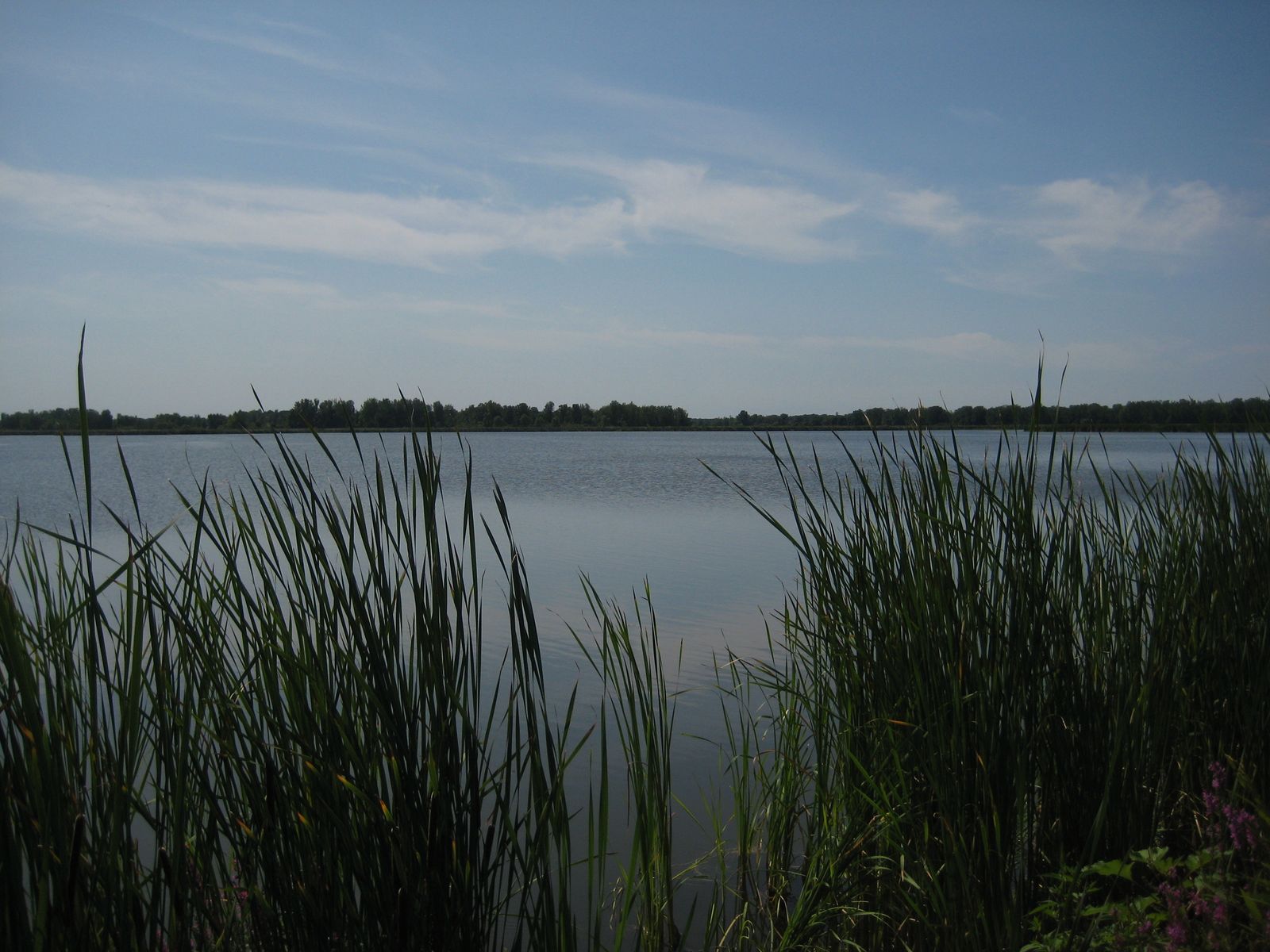 Greece, NY | Data USA