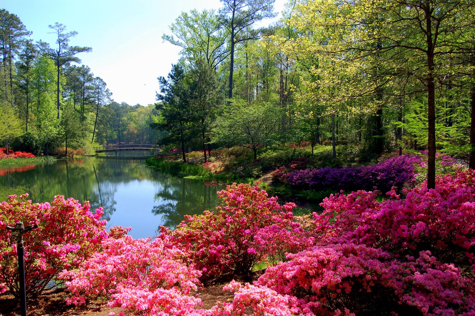 Hall County, GA | Data USA