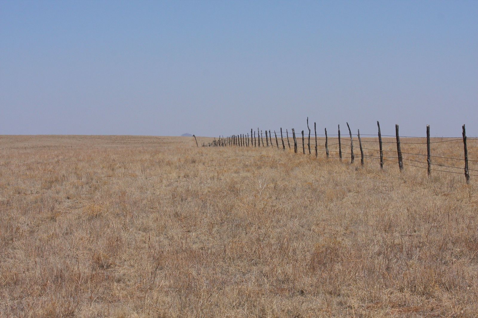 Harding County, NM | Data USA