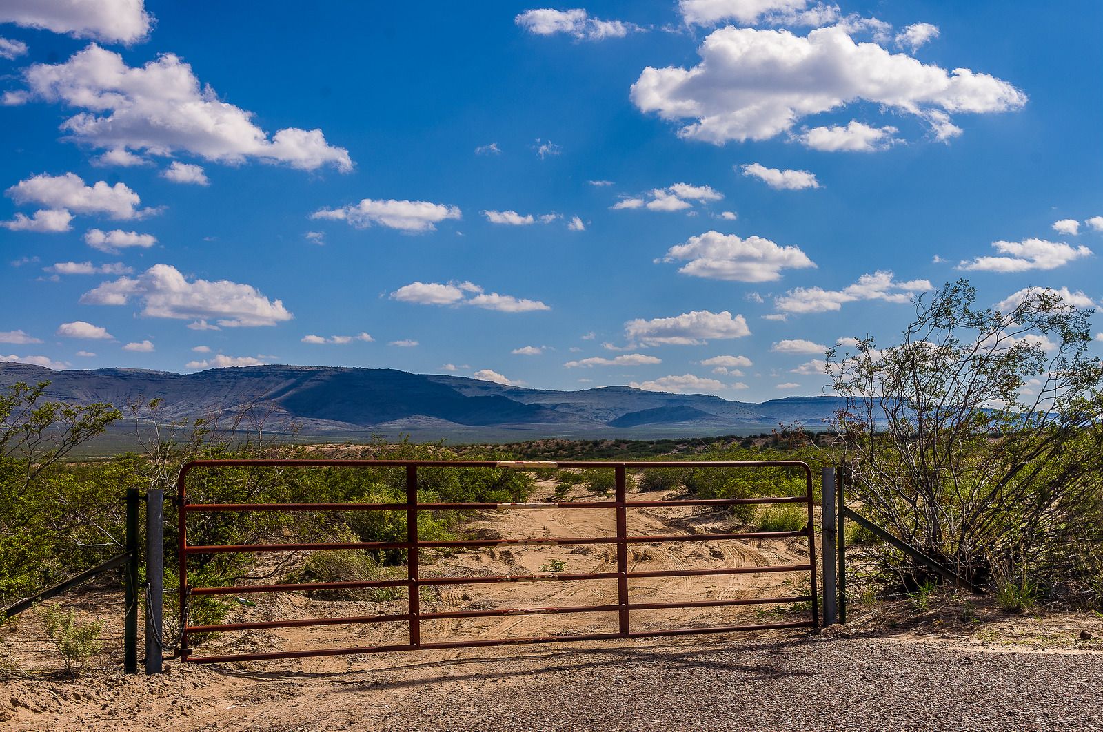 Hatch, NM | Data USA