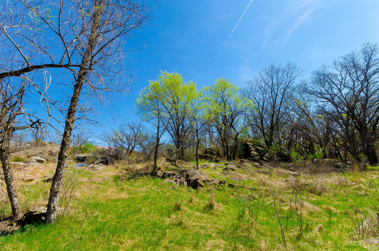Hazel Run, MN | Data USA