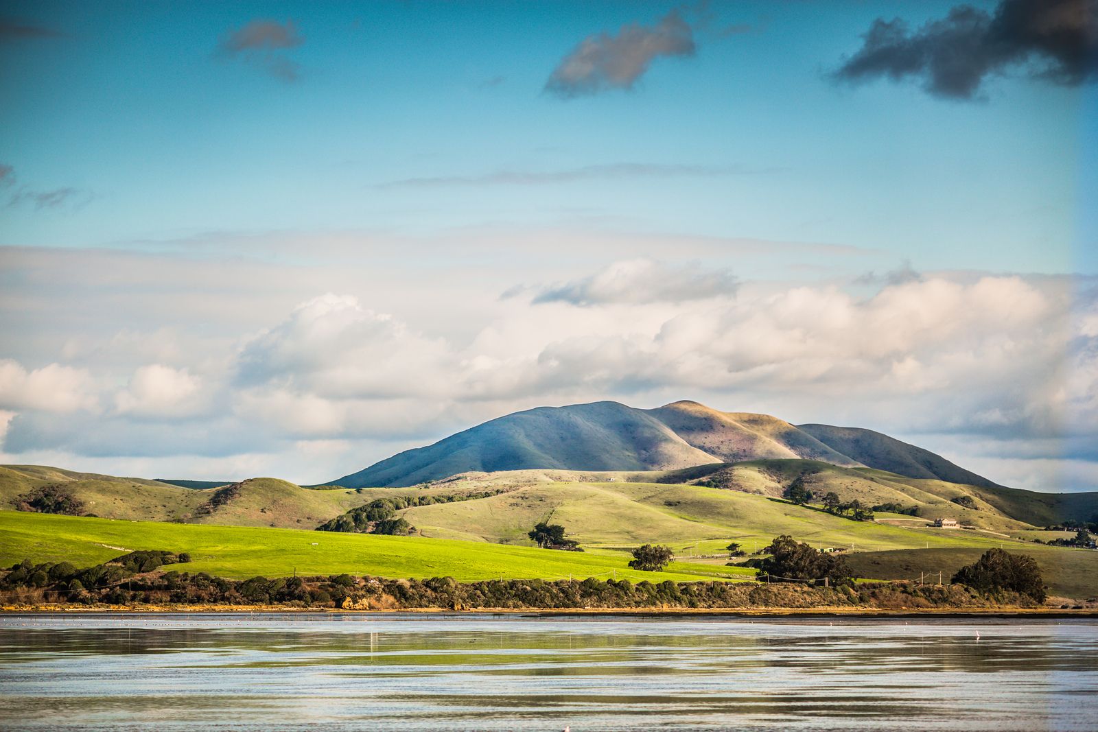 Inverness, CA | Data USA