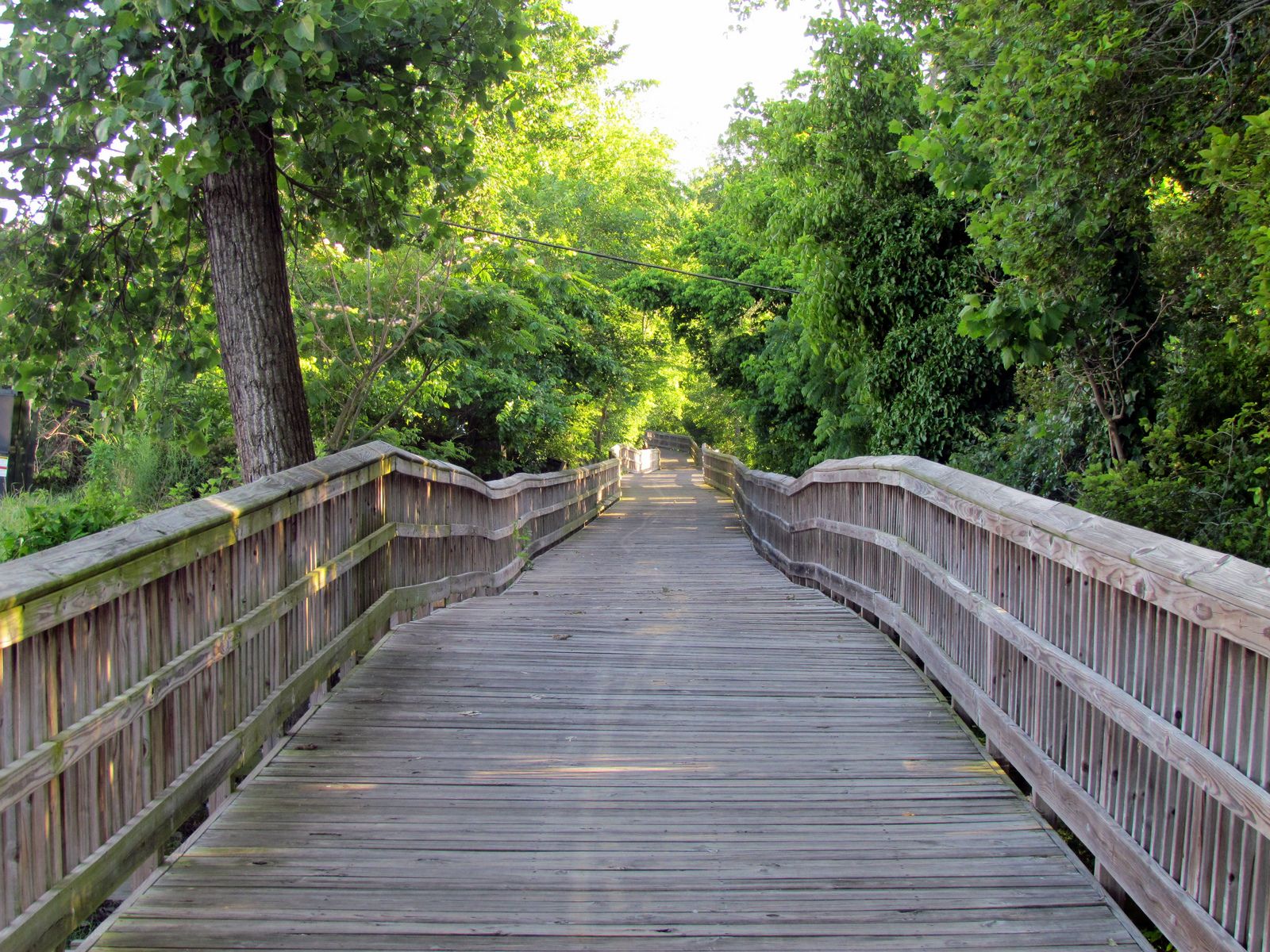 Kenly, NC | Data USA