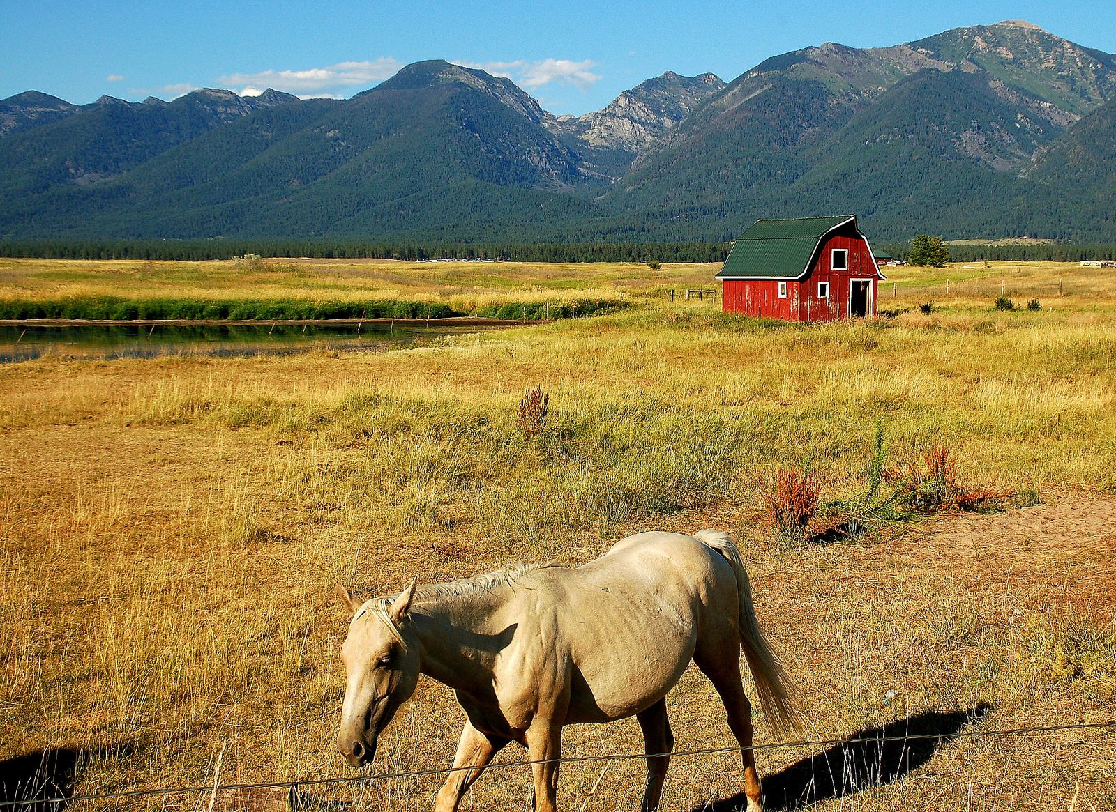 Kicking Horse, MT | Data USA