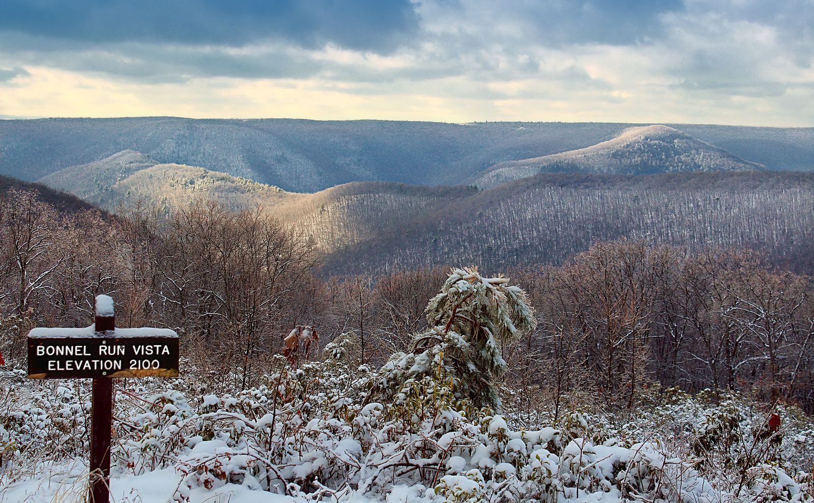 Lycoming County, PA | Data USA