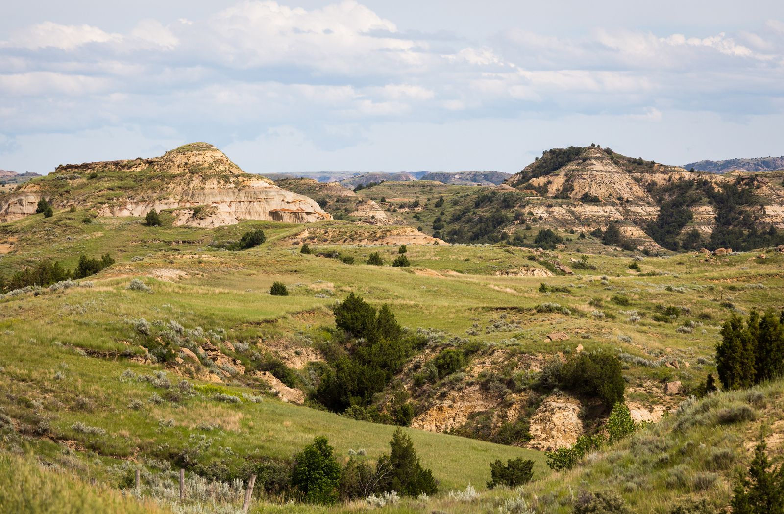 Makoti, ND | Data USA
