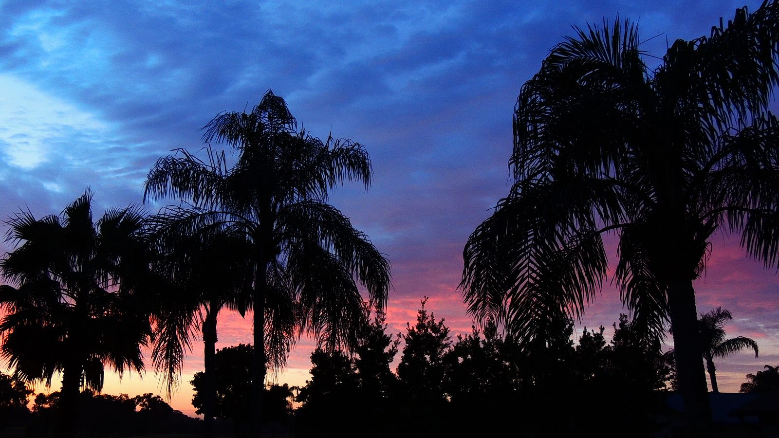 Manatee County, FL | Data USA