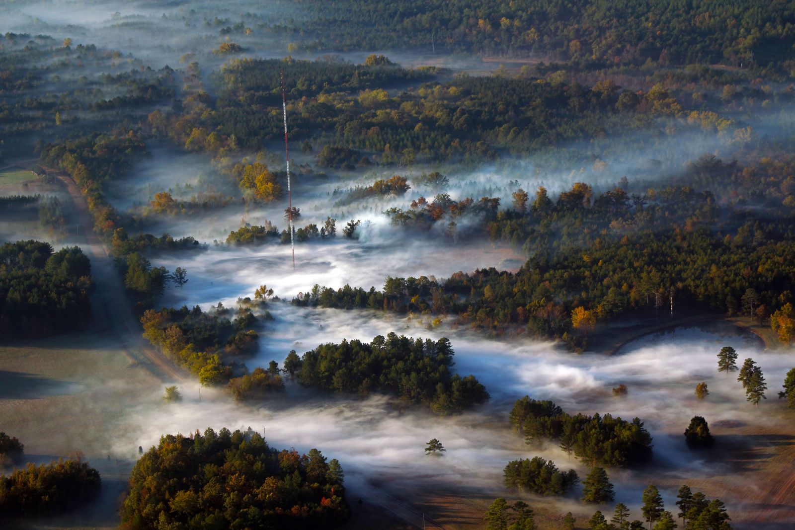 New Hope, MS | Data USA