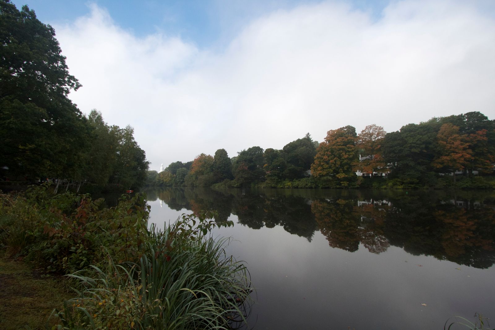 Newton, MA | Data USA