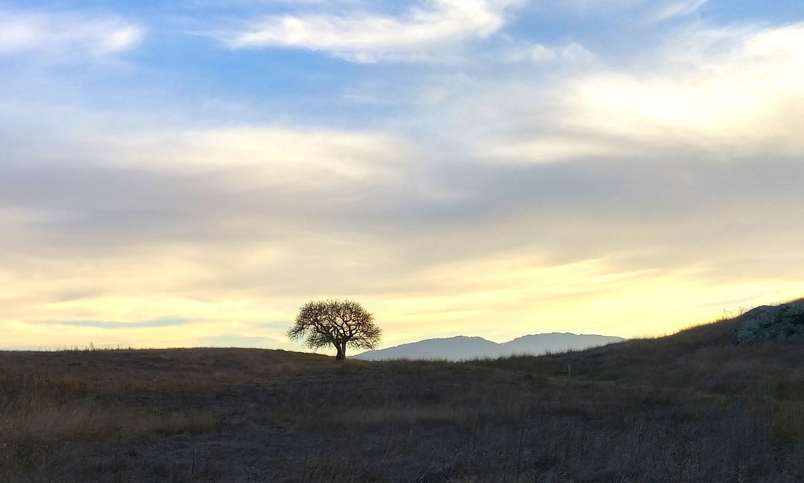 Novato, CA | Data USA