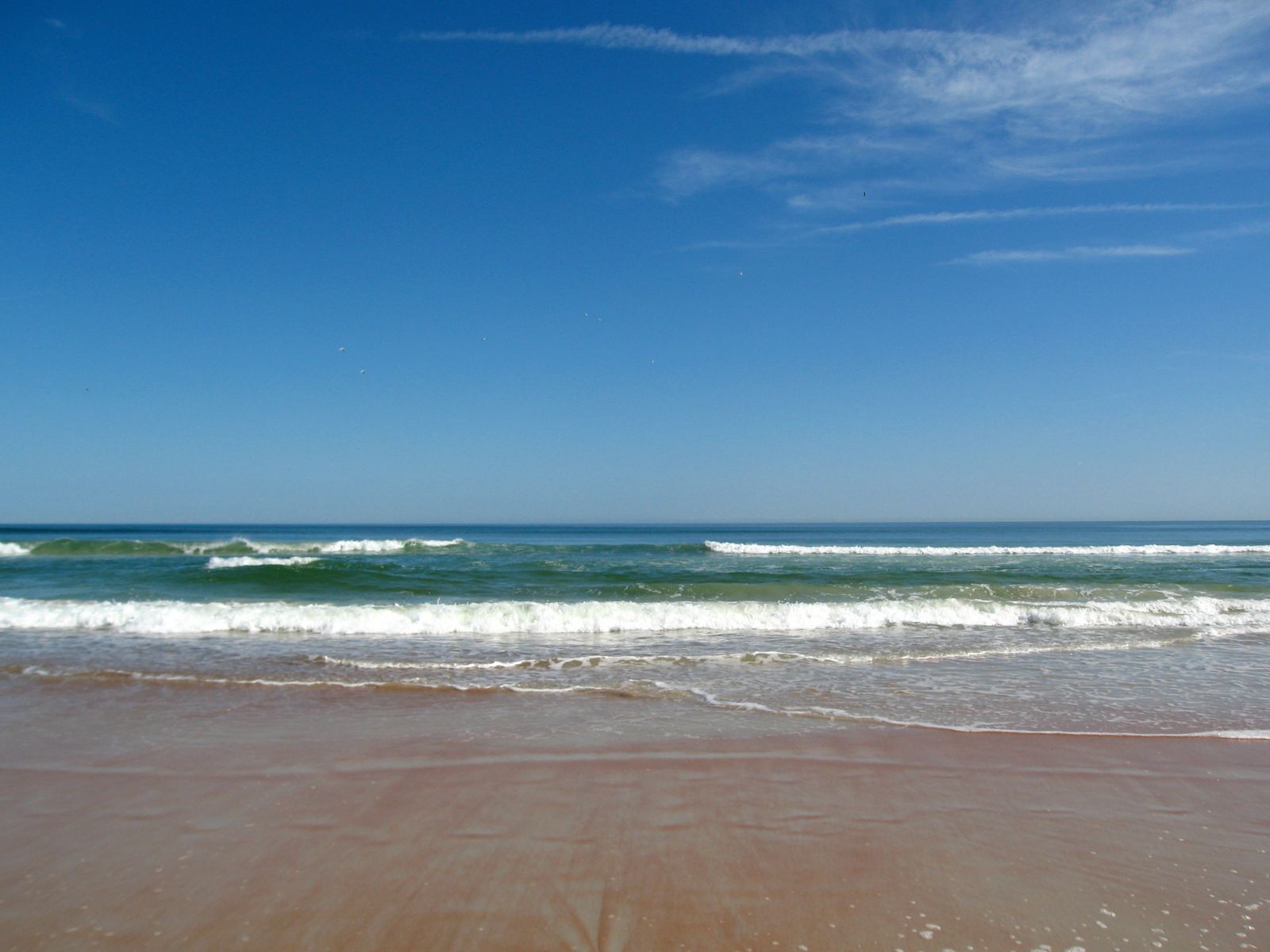 Ormond Beach, FL | Data USA