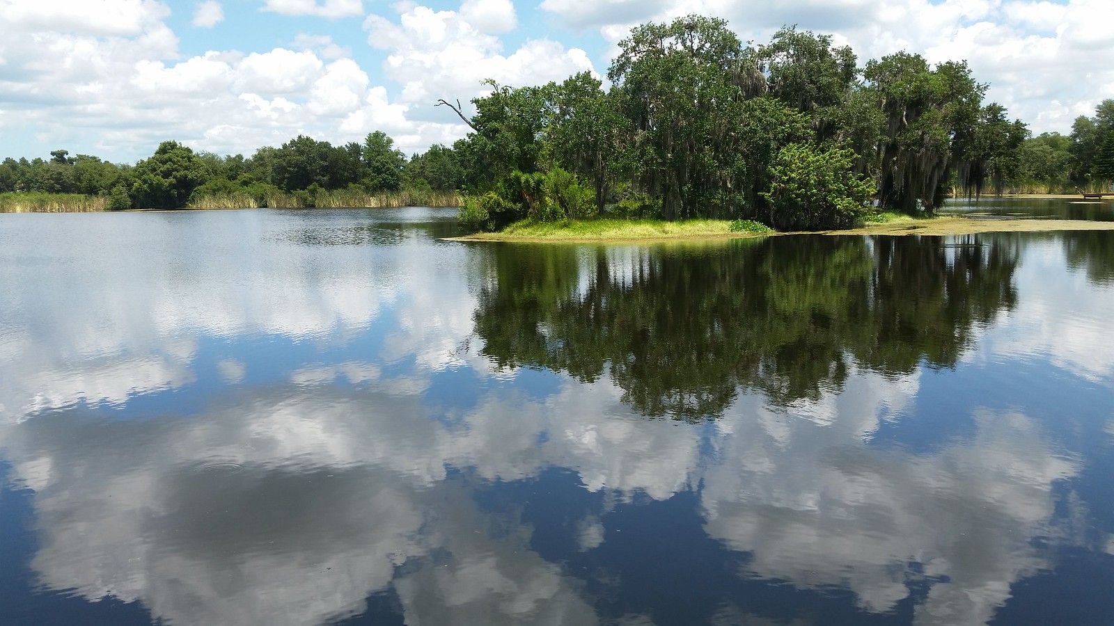 Pasco County, FL | Data USA