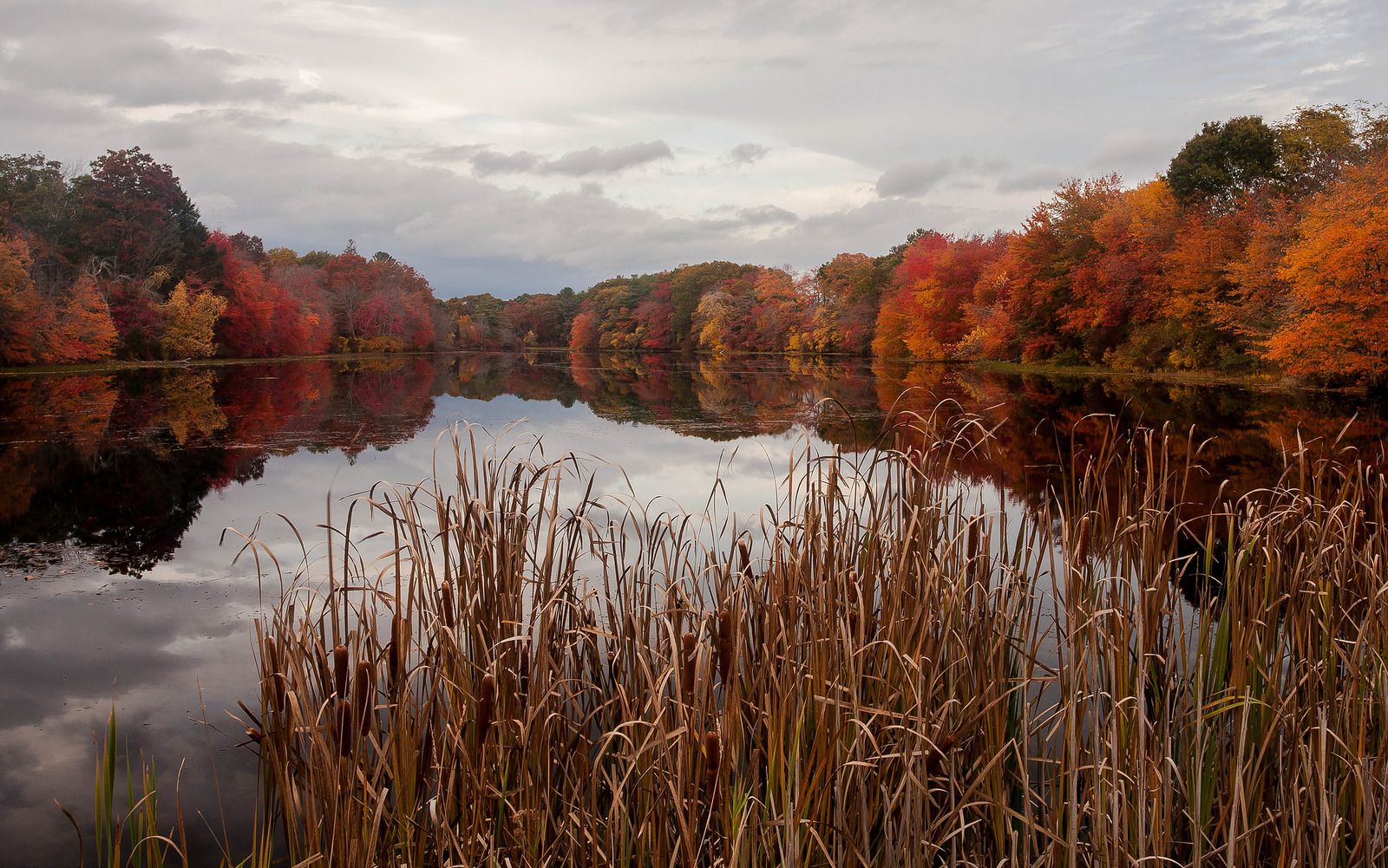 Pawcatuck, CT | Data USA