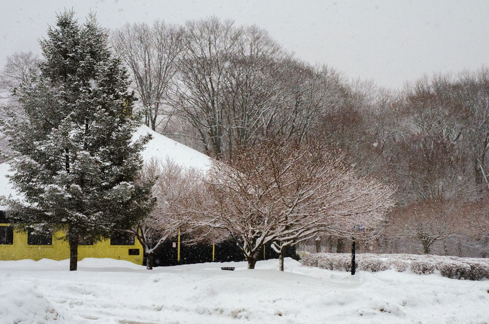 Pawtucket, RI | Data USA