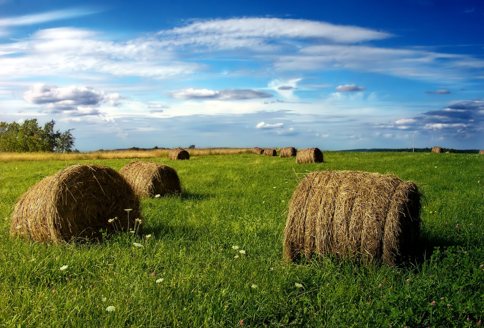 Potter County, PA | Data USA