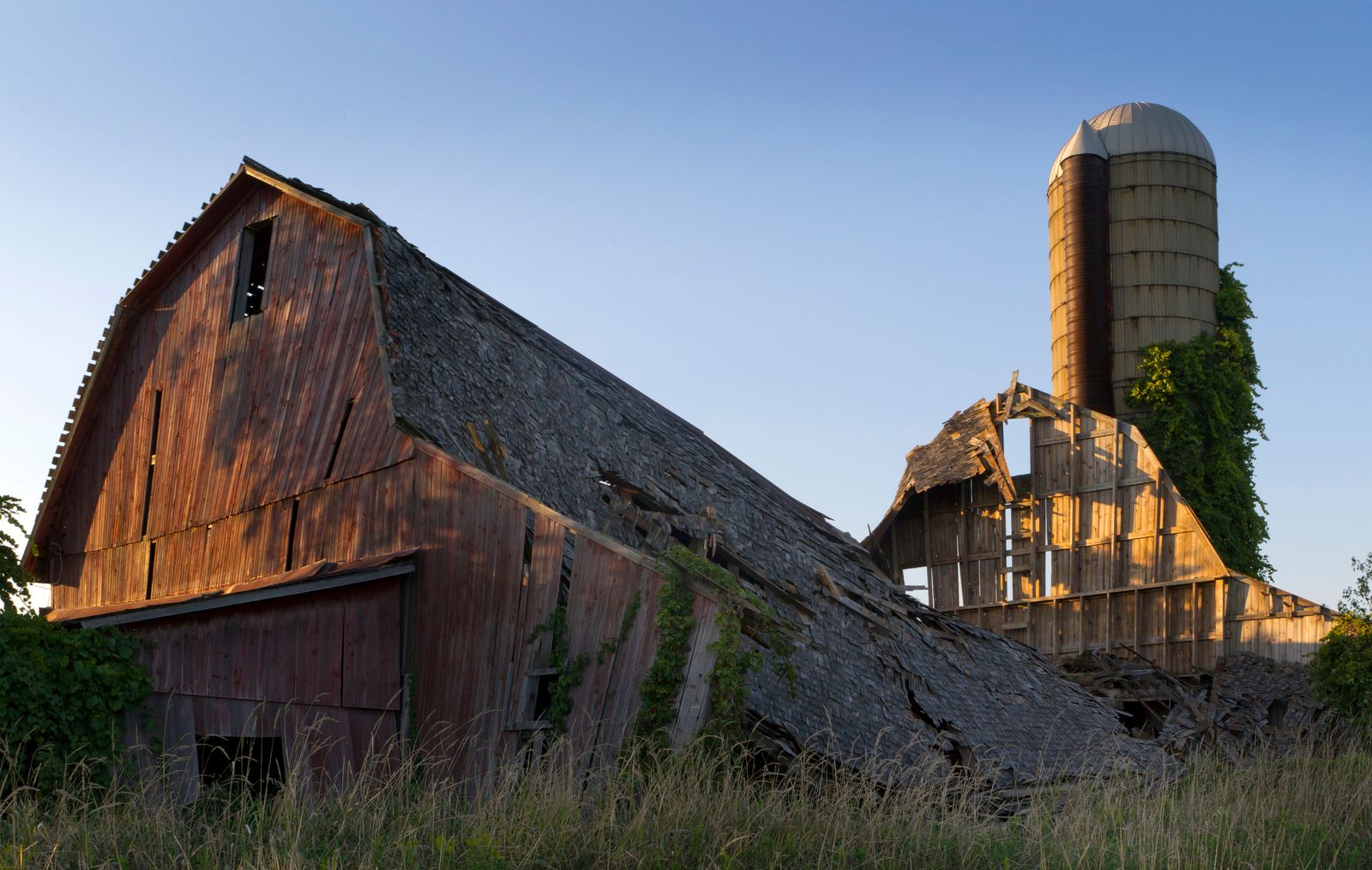 Saline, MI | Data USA