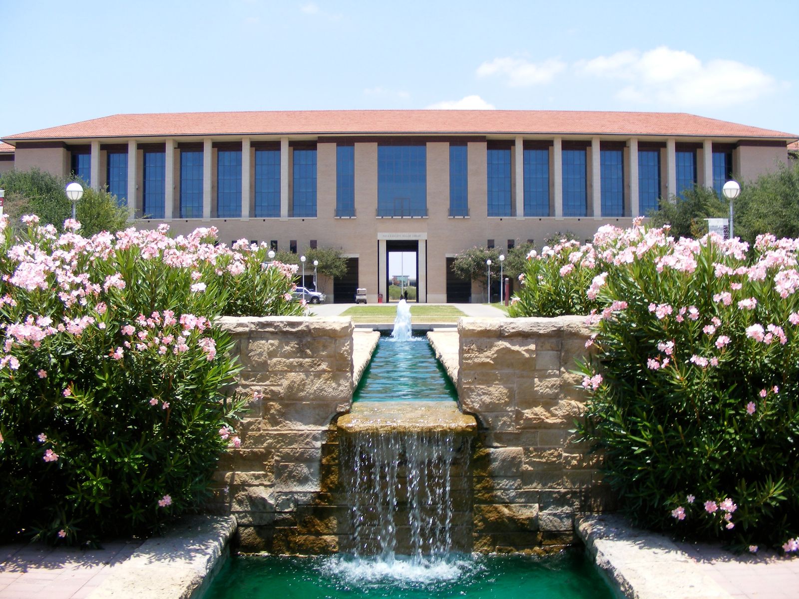 San Carlos I, TX | Data USA