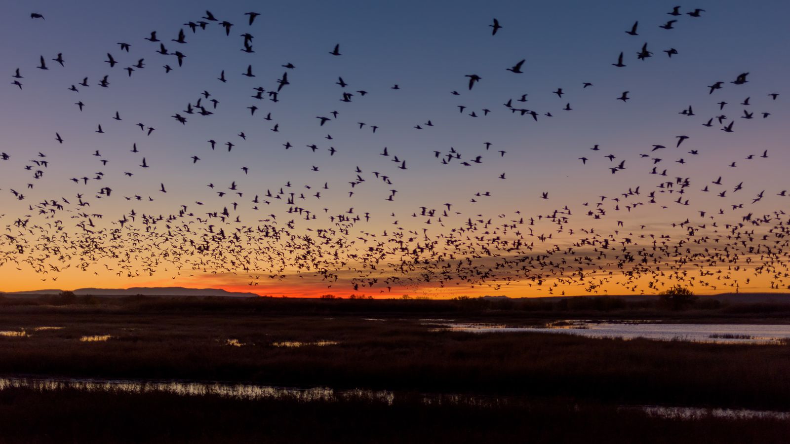 Socorro County, NM | Data USA
