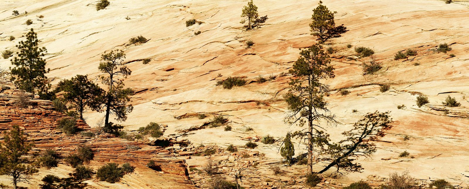 Springdale, UT | Data USA