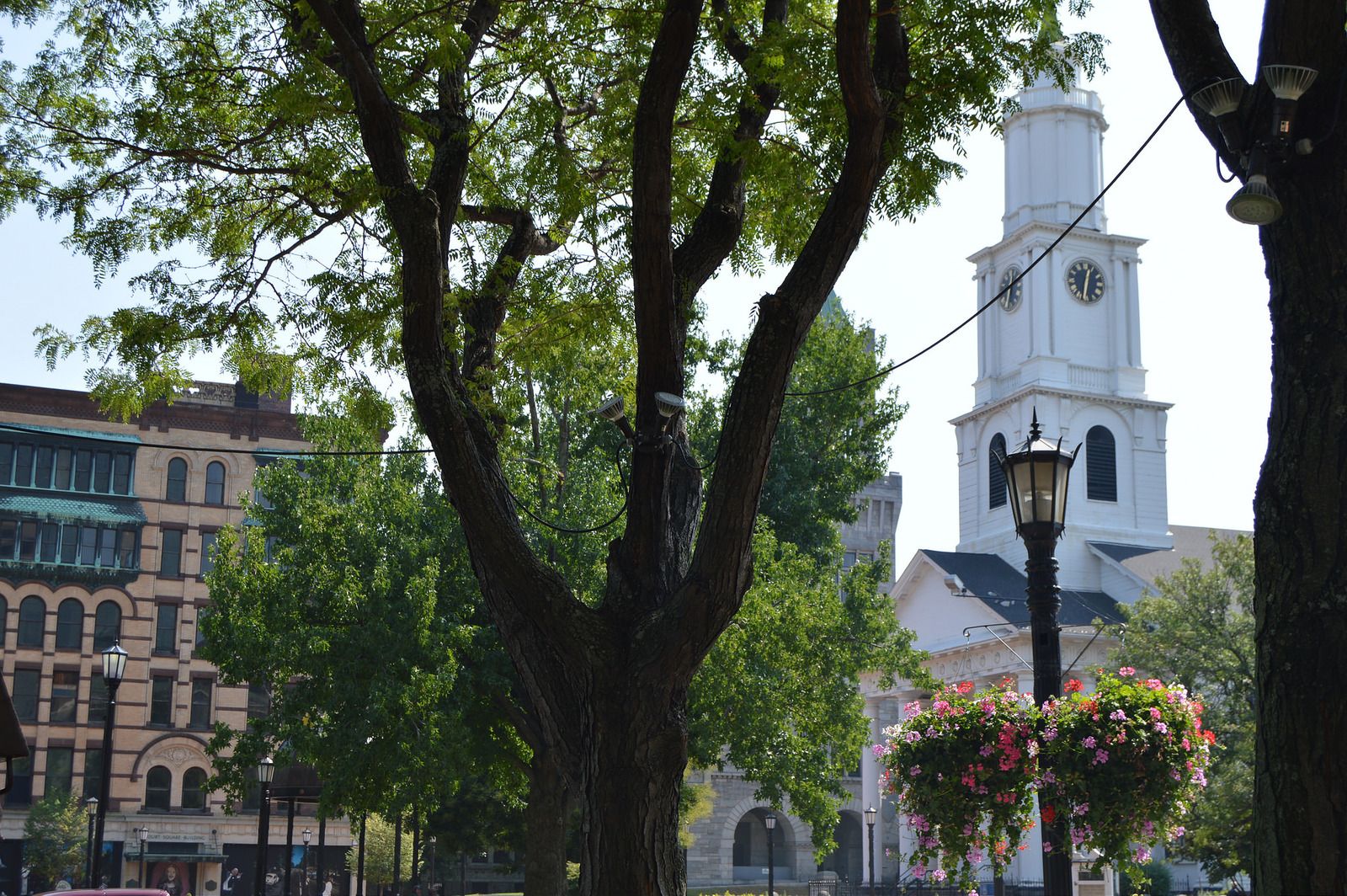 Springfield, MA | Data USA