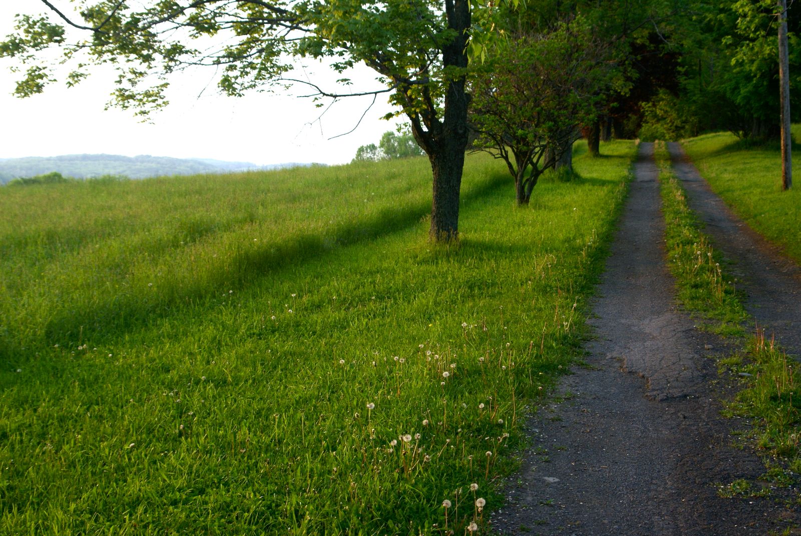 Susquehanna County, PA | Data USA