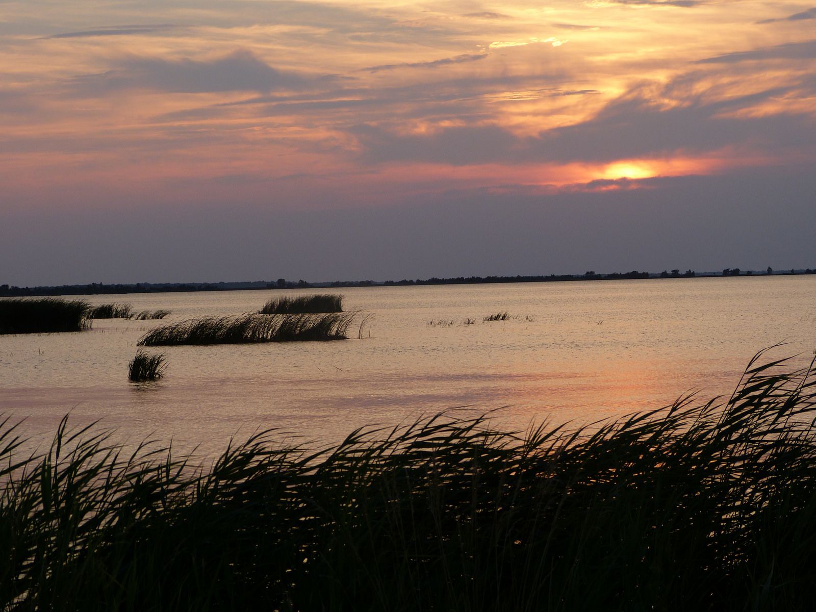 Swan Quarter, NC | Data USA