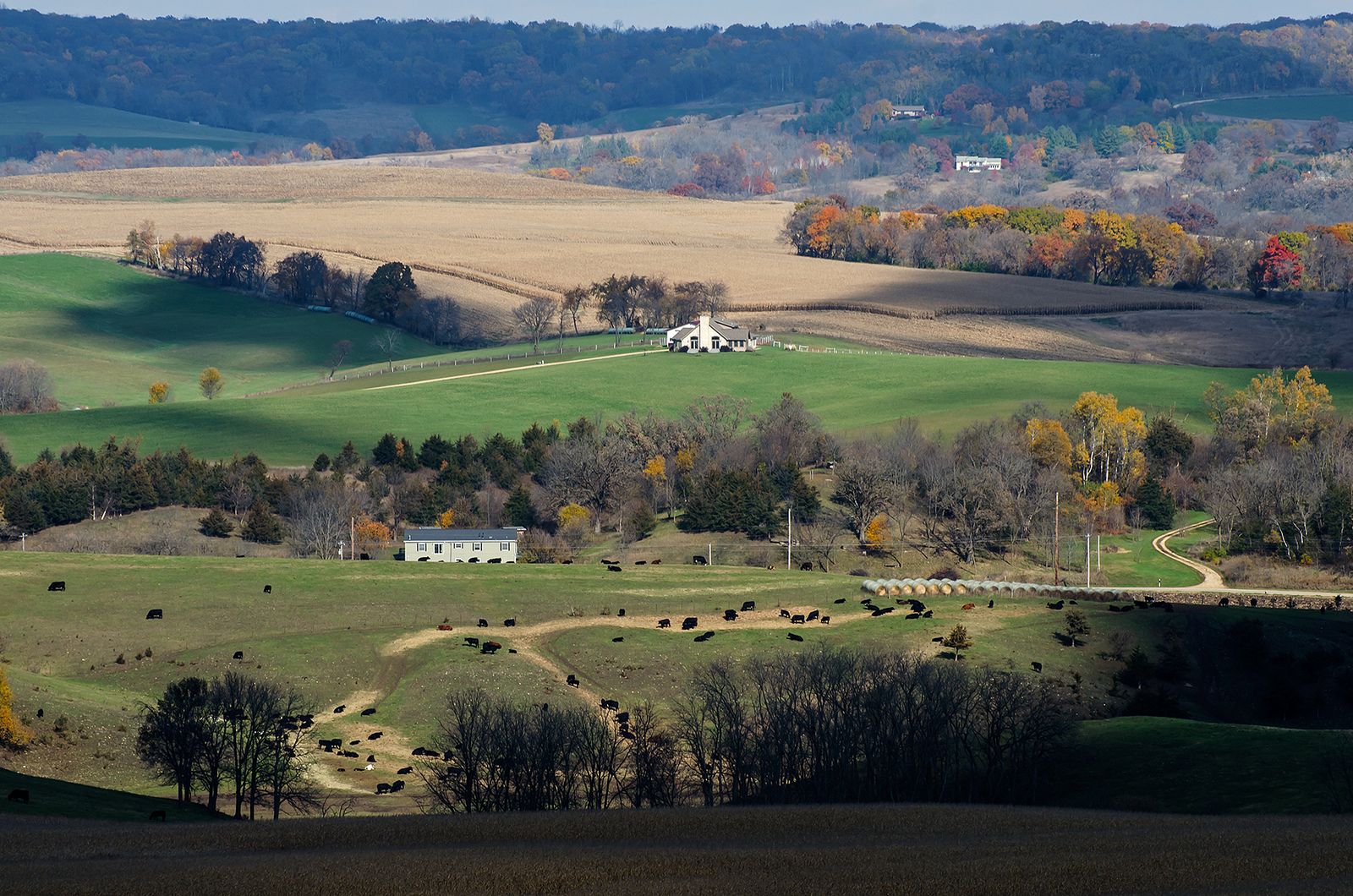 The Galena Territory, IL | Data USA