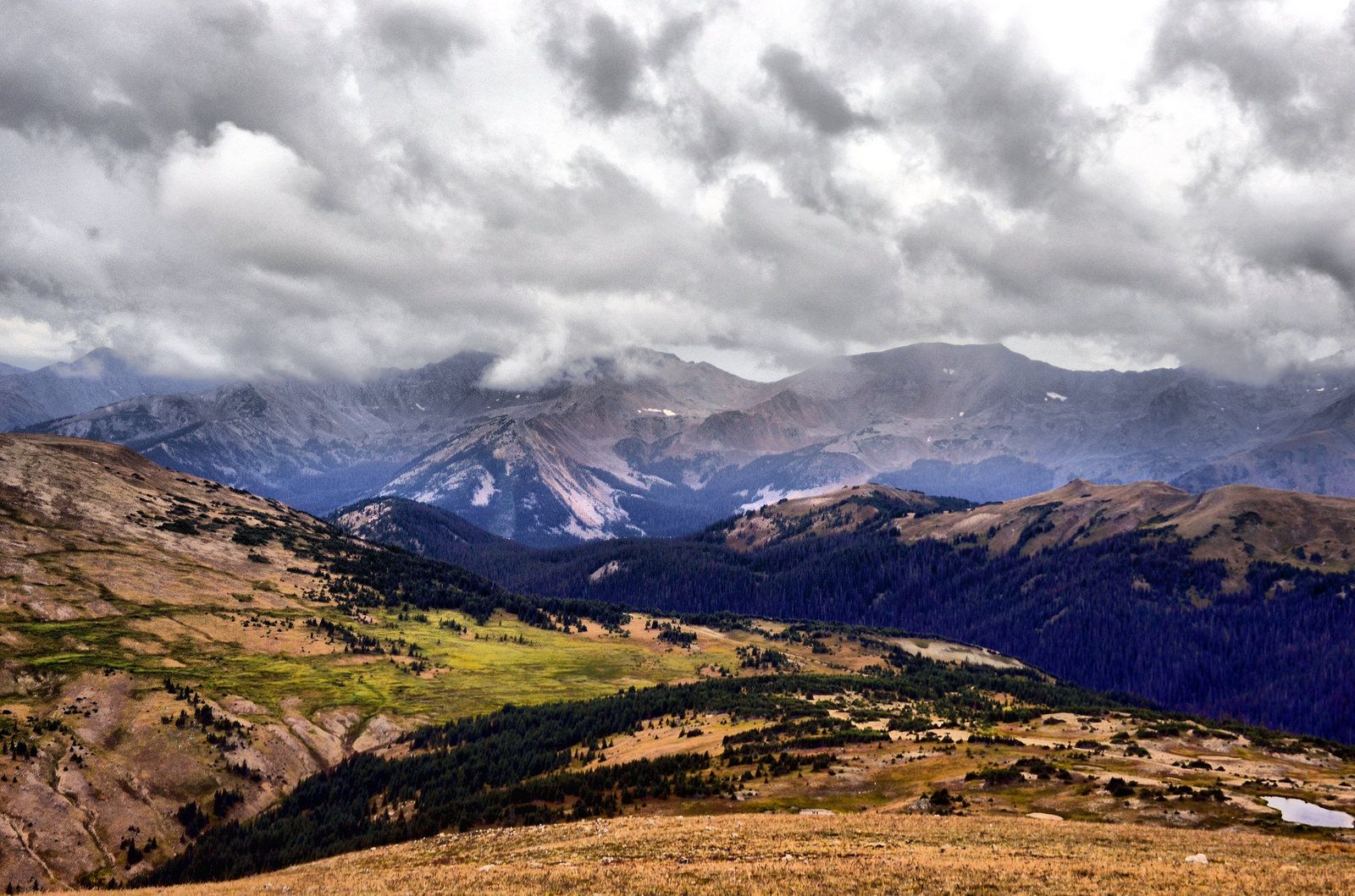 Timnath, CO | Data USA