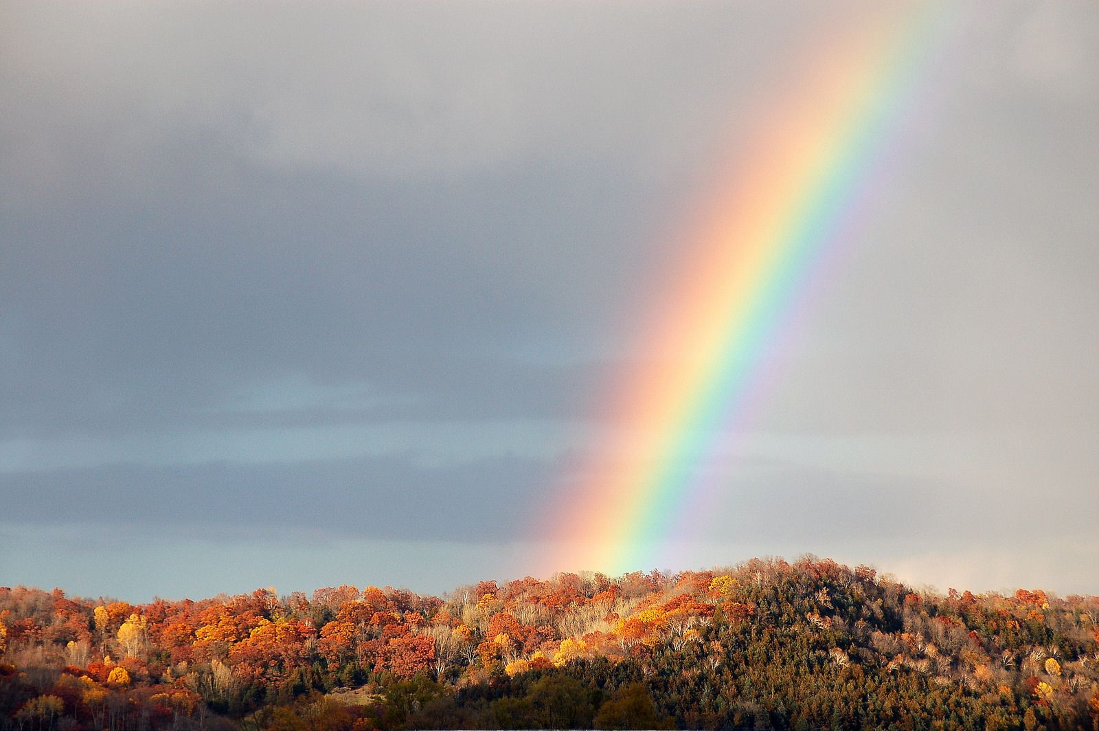 Viola, WI | Data USA