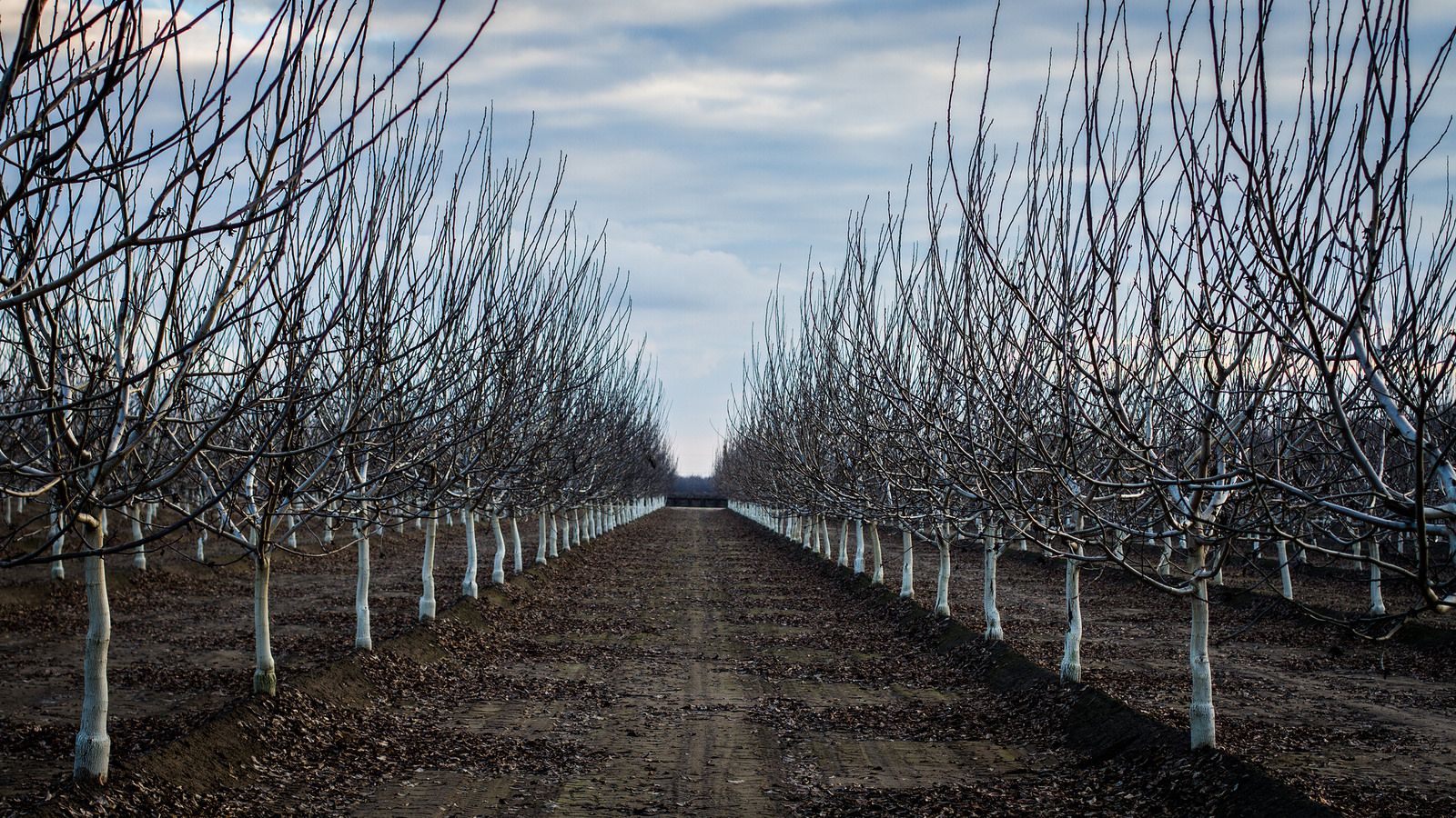 Visalia, CA | Data USA