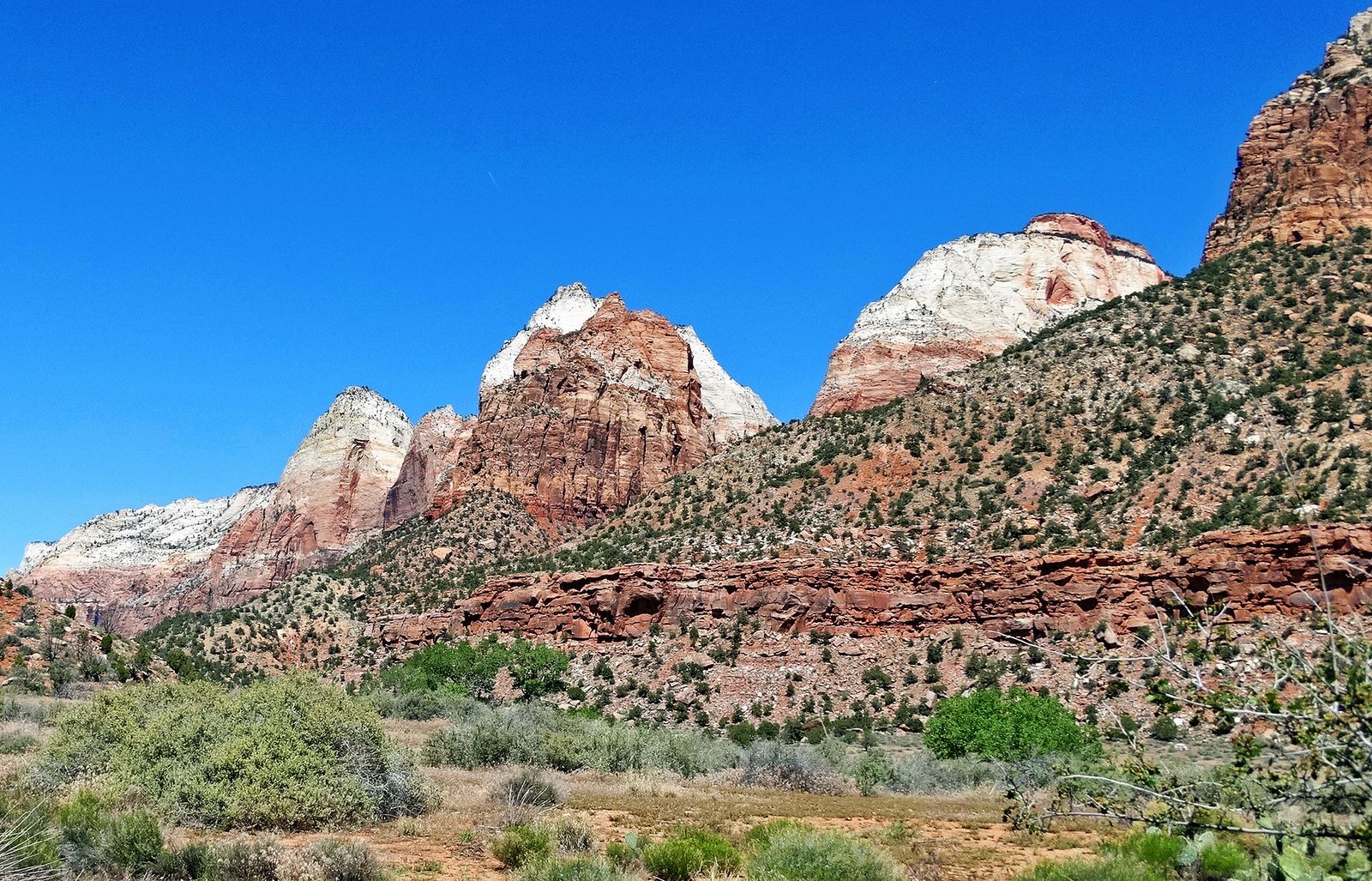 Washington, UT | Data USA