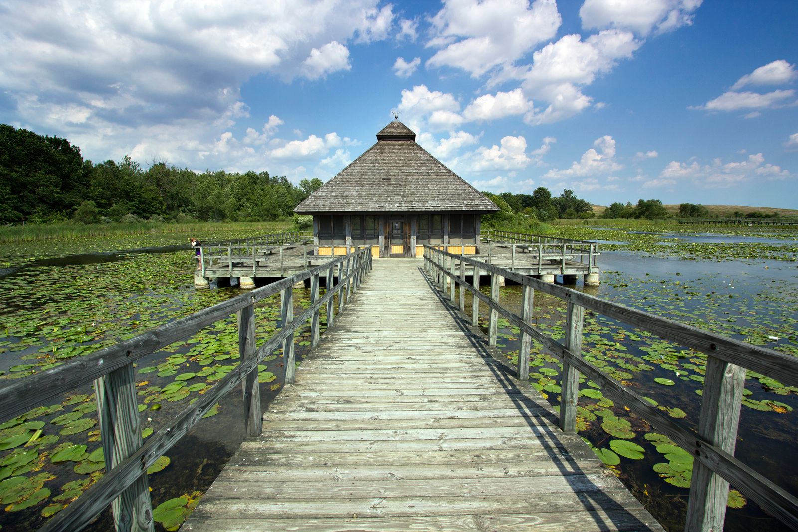 Wayne County, MI | Data USA