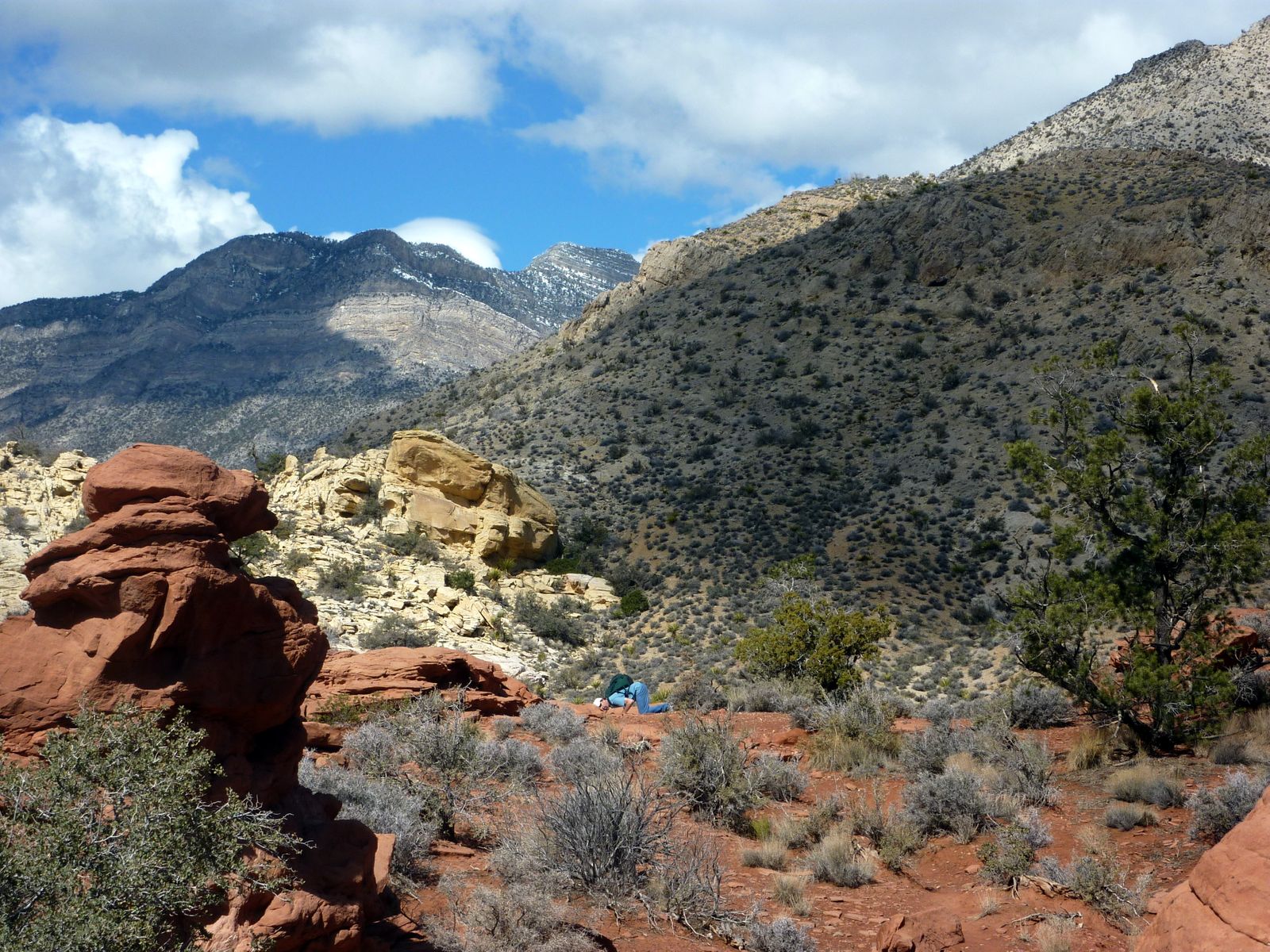 Winchester, NV | Data USA