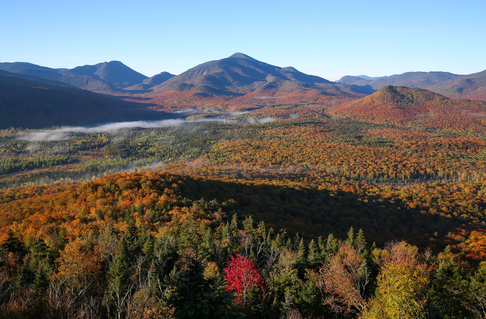 Witherbee, NY | Data USA