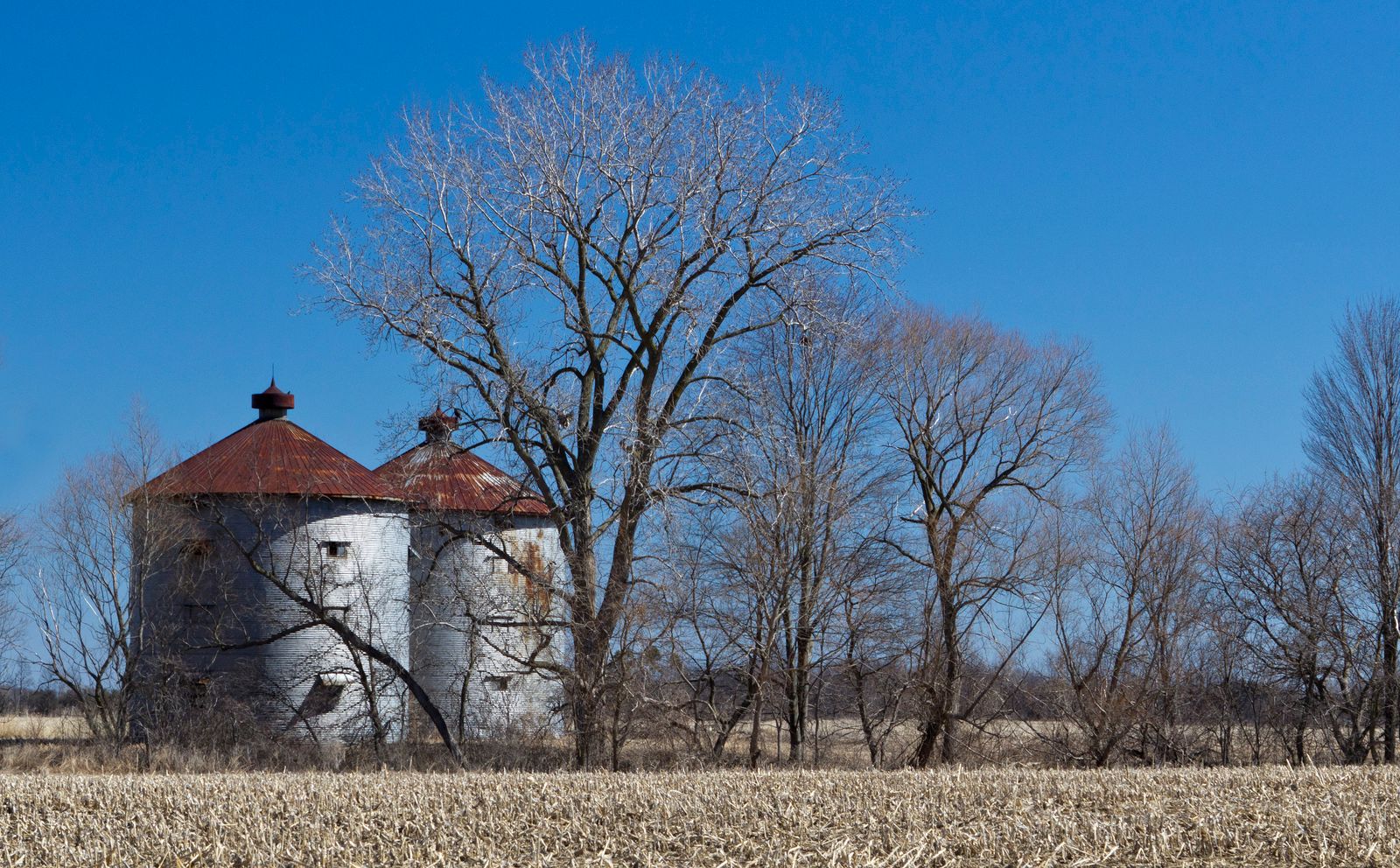 Ypsilanti, MI | Data USA